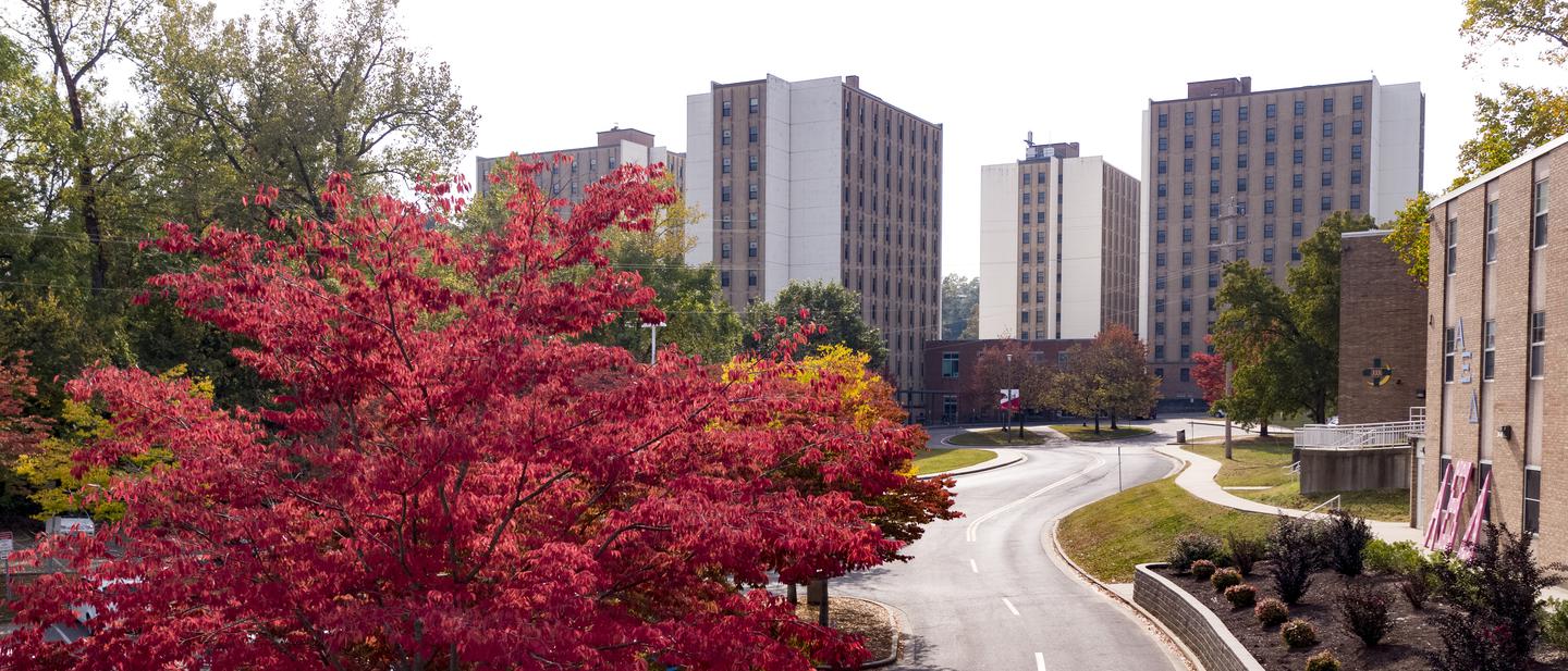 Towers East Residence Hall | SEMO
