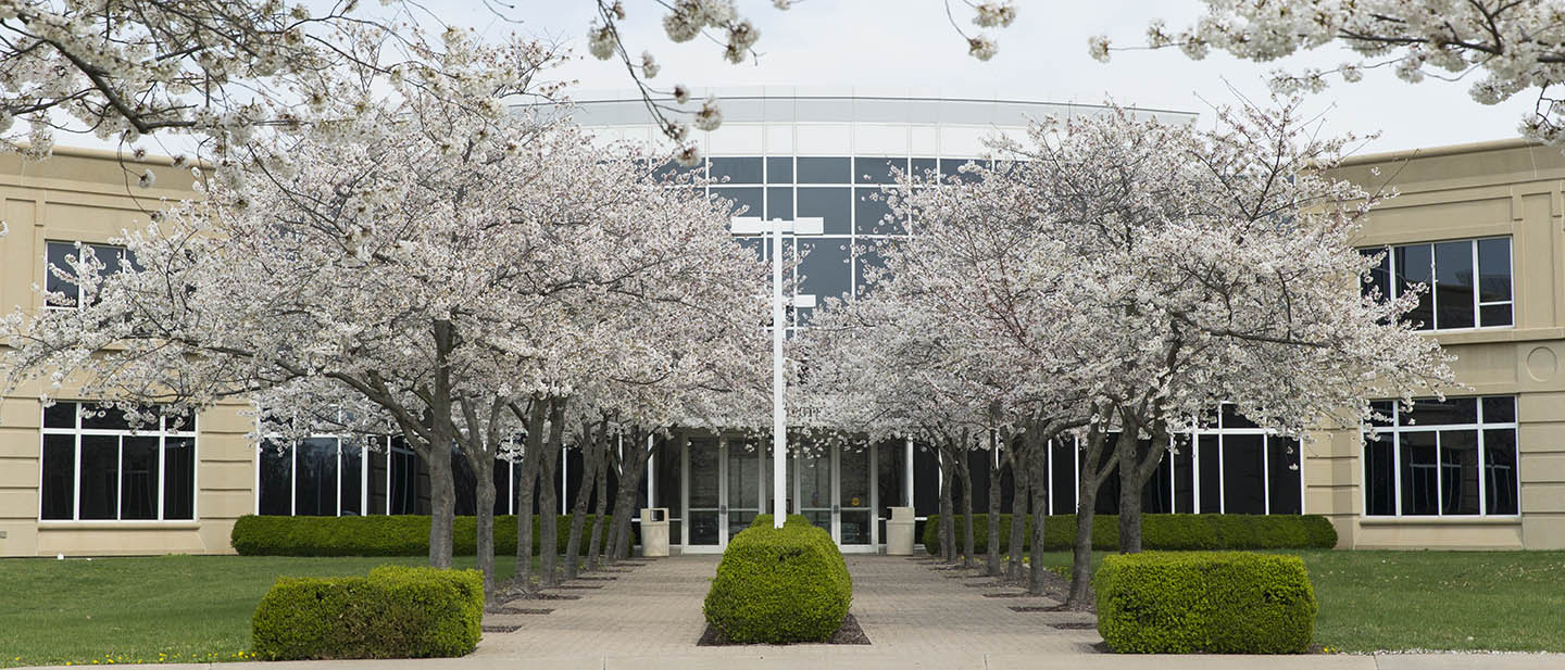 EdTech Academy | SEMO